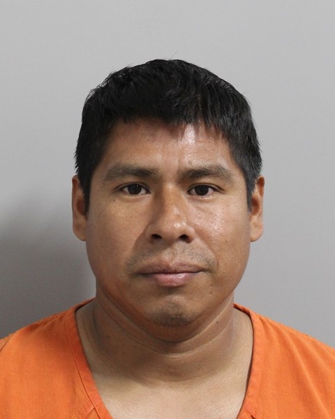 JESUS ROSALES booked for