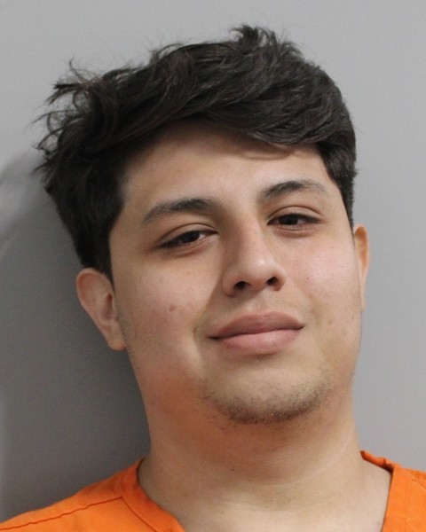 STEVEN RODRIGUEZ booked for 250.00