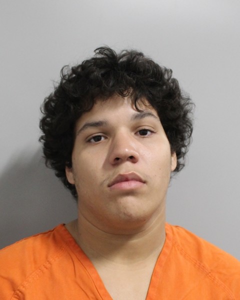 WILFREDO DELGADO-COLON booked for 10000.00